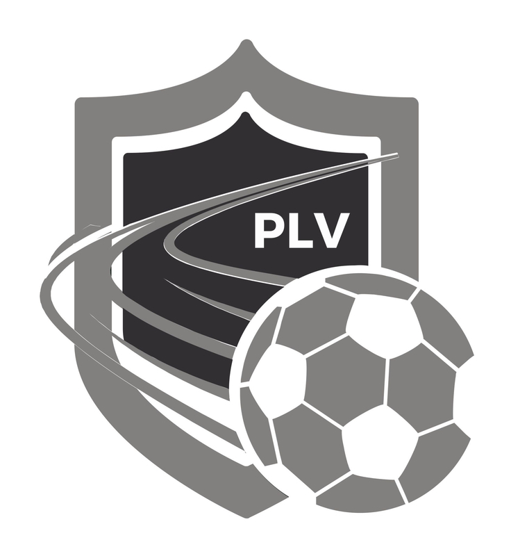 Pro Level Vision Referral
