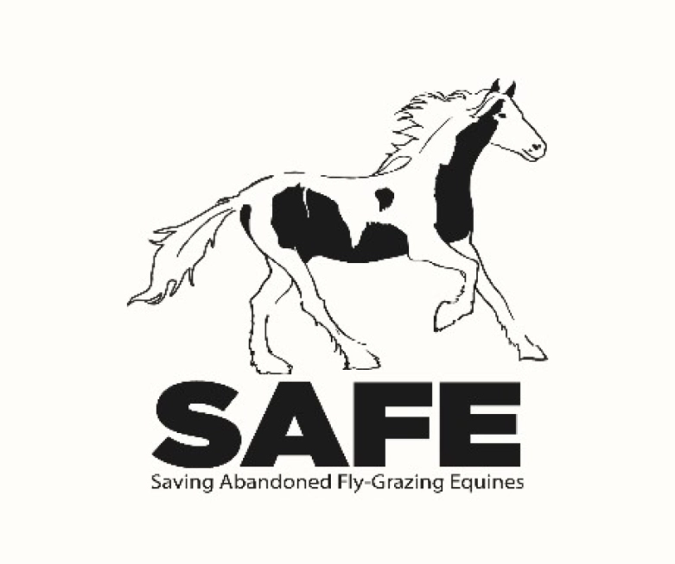 SAFE - A small horse rescue charity, nestled in the heart of Berkshire ...